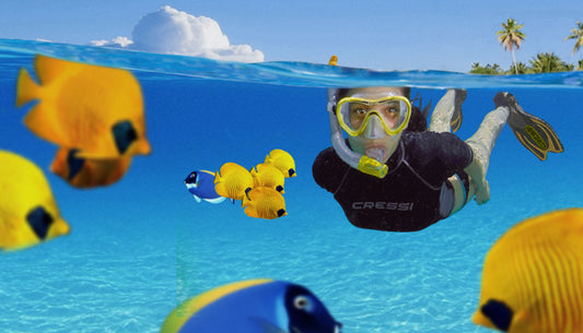 Watersports Warehouse UK | Scuba Diving, Wetsuits, Snorkelling & more