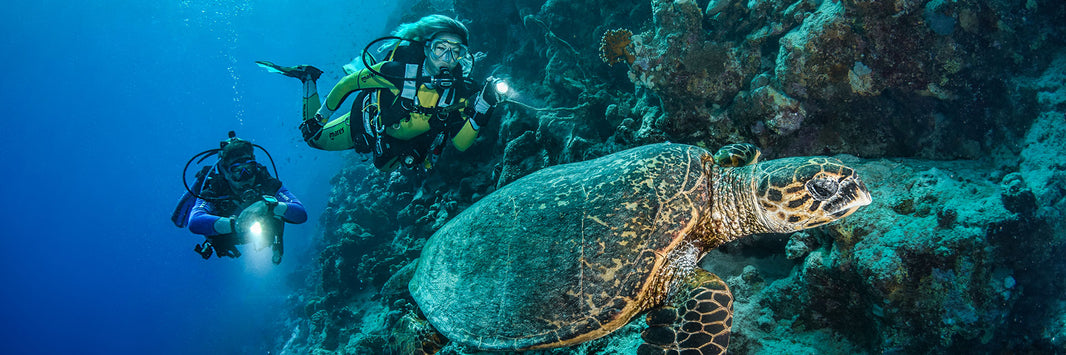 Watersports Warehouse UK | Scuba Diving, Wetsuits, Snorkelling & more