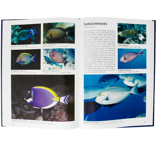 Reef Fishes of The Maldives Guide Book – Watersports Warehouse