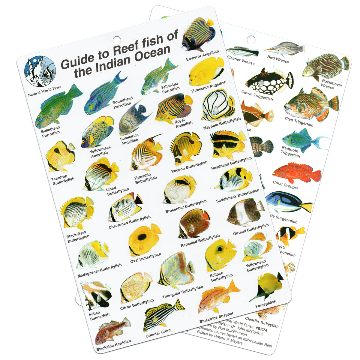 Fish ID Slates And Waterproof Guides – Watersports Warehouse